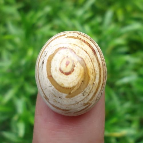 Mustika Puser Bumi - Pusaka Dunia