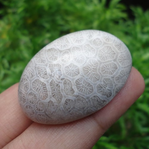 Mustika Sisik Ular Naga - Pusaka Dunia