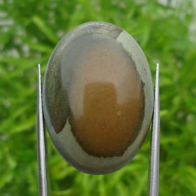 Mustika Kantong Semar - Pusaka Dunia