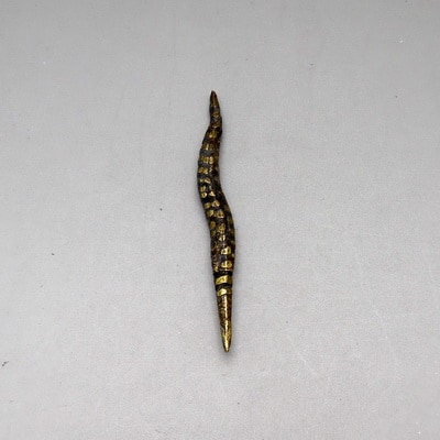 Cacing Kanil Besi Kursani - Pusaka Dunia