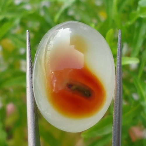 Mustika Raja Pesona - Pusaka Dunia