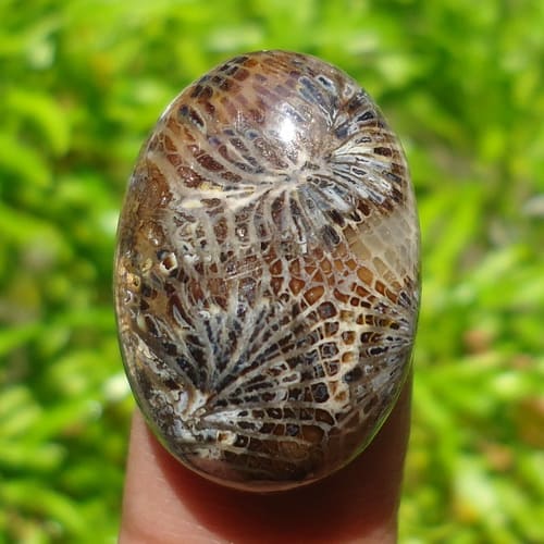 Batu Lipan Hitam - Pusaka Dunia