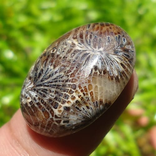 Batu Lipan Hitam - Pusaka Dunia