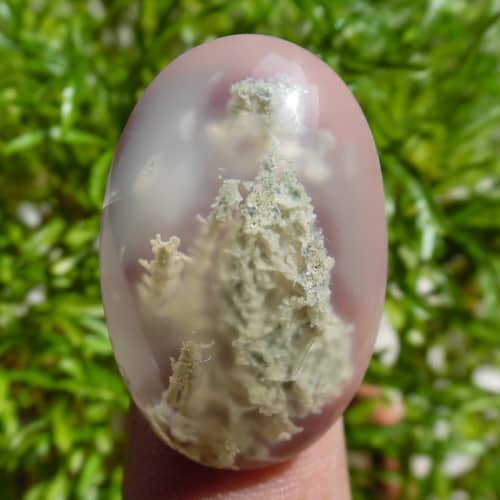 Mustika Biji Bambu | Pusaka Dunia