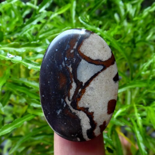 Mustika Condong Campur - Pusaka Dunia