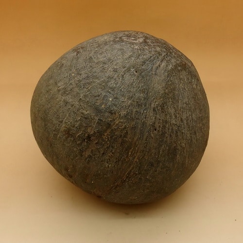 Buntat Kelapa Buta Pusaka Terhebat - Pusaka Dunia