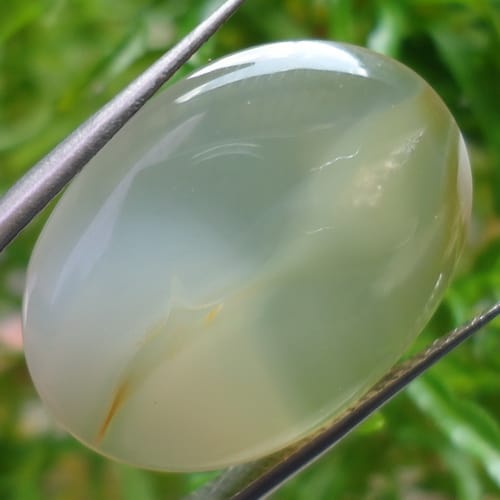 Mustika Setangkai Mawar Putih - Pusaka Dunia