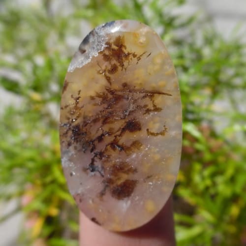 Mustika Asaraya Sudama - Pusaka Dunia