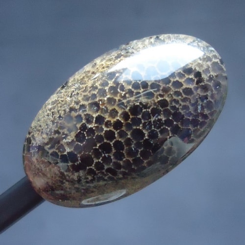 Mustika Raja Ular - Pusaka Dunia