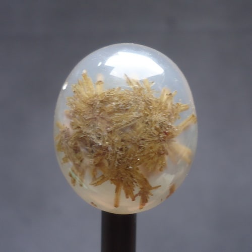 Mustika Lugut Bambu - Pusaka Dunia