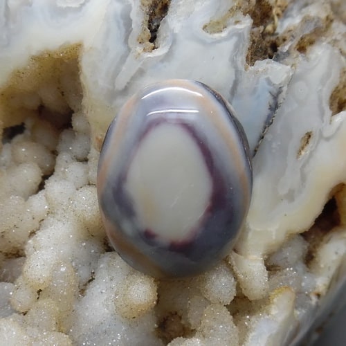 Mustika Kantong Semar Bertuah | Pusaka Dunia