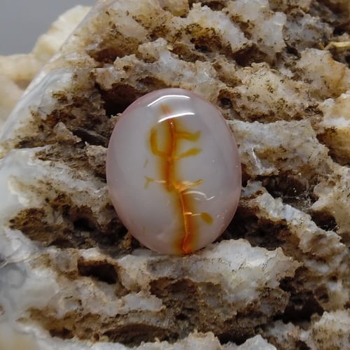 Mustika Akar Merah Keramat - Pusaka Dunia