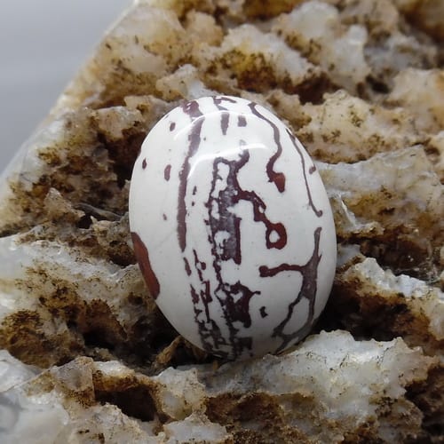 Mustika Macan Loreng Yang Gagah - Pusaka Dunia