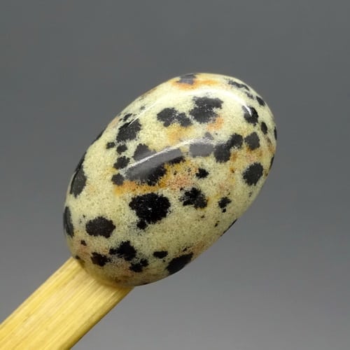 Mustika Raja Ular Asli - Pusaka Dunia