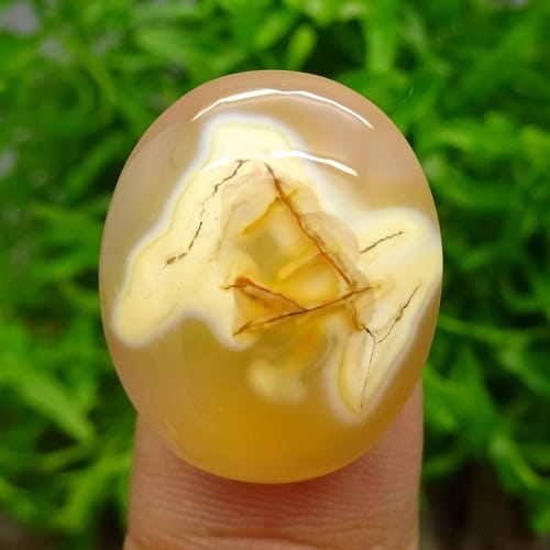 Mustika Rajah Gaib Alami - Pusaka Dunia