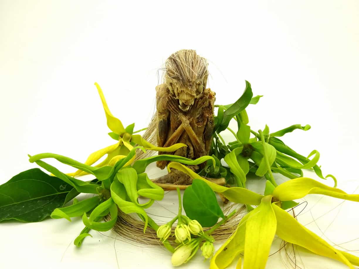 Pusaka Jenglot Seharga 1,5 Milyar - Pusaka Dunia