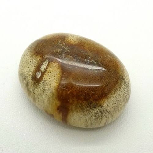 Mustika Semar Petak Yang Bertuah - Pusaka Dunia