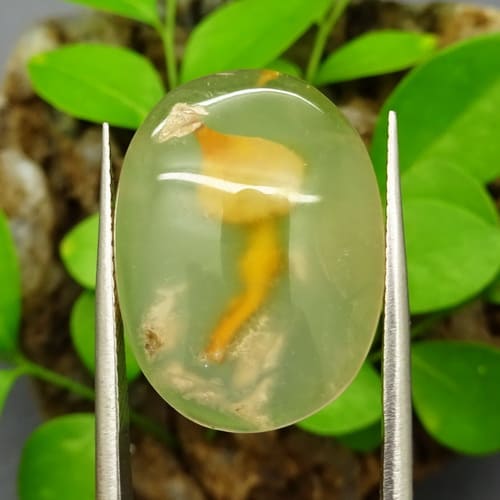 Mustika Tanduk Siluman Kucing Emas - Pusaka Dunia