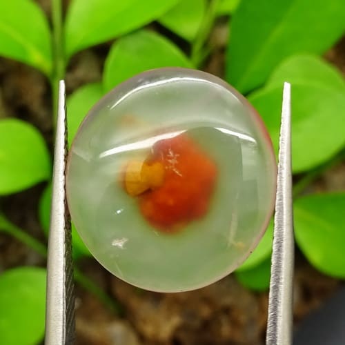 Mustika Buah Jin Merah - Pusaka Dunia