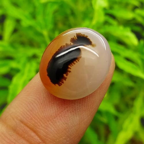 Mustika Lipan Hitam Seribu - Pusaka Dunia