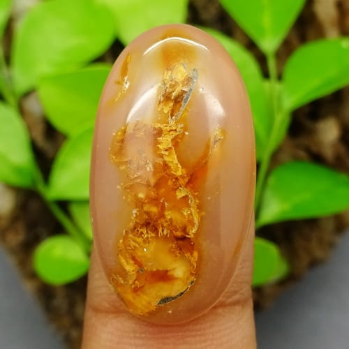 Mustika Raja Api - Pusaka Dunia