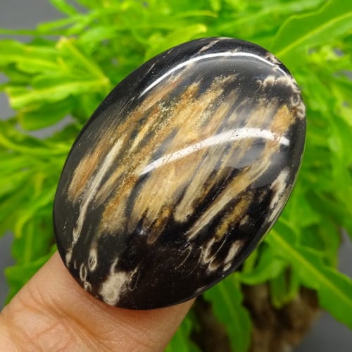 Mustika Macan Kumbang Macan Loreng - Pusaka Dunia