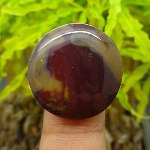 Mustika Ombak Laut Merah - Pusaka Dunia