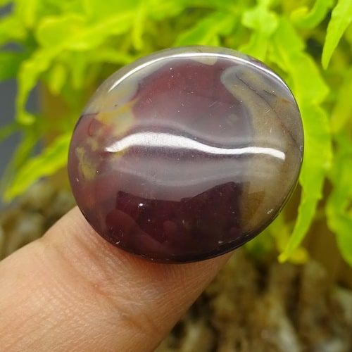 Mustika Ombak Laut Merah - Pusaka Dunia