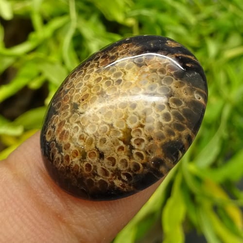 Mustika Sisik Ular Macan Tutul - Pusaka Dunia