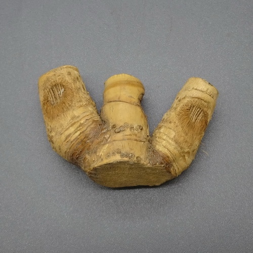 Pring Pethuk Patil Lele - Pusaka Dunia