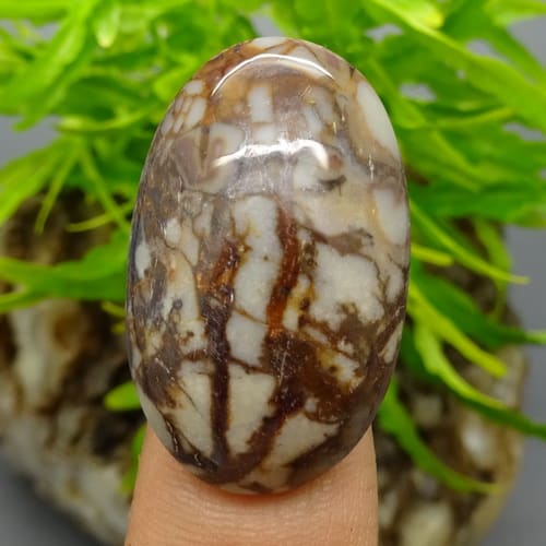 Mustika Khodam Singa Barong Asli Jawa - Pusaka Dunia