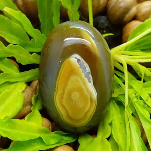 Mustika Telaga Kuning Emas Yang Langka - Pusaka Dunia