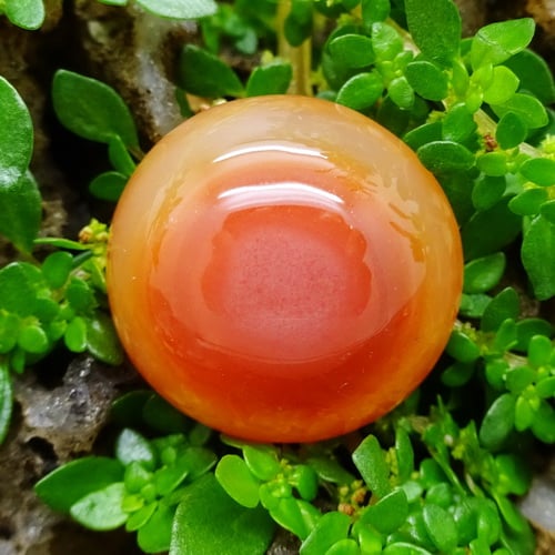 Mustika Puser Bumi Merah - Pusaka Dunia