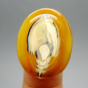 Mustika Ikan Pari Putih Keramat