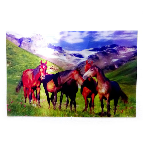 Poster 3D Kuda Pegunungan - Pusaka Dunia