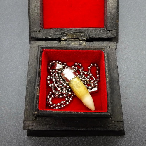 Liontin Taring Buaya Putih - Pusaka Dunia