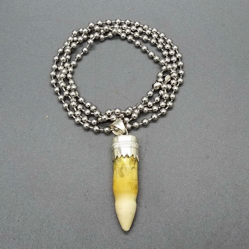 Liontin Taring Buaya Putih - Pusaka Dunia