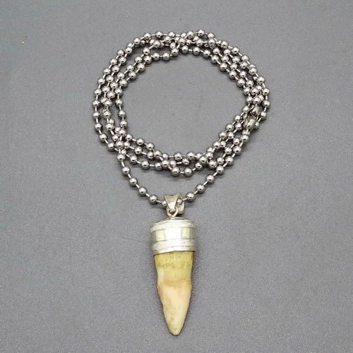 Taring Keramat Buaya Putih - Pusaka Dunia