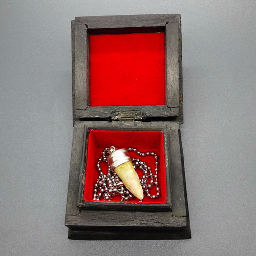 Taring Keramat Buaya Putih - Pusaka Dunia