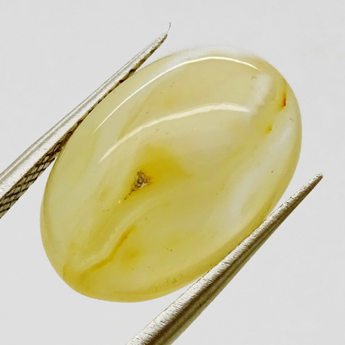 Mustika Ikan Pari Putih - Pusaka Dunia