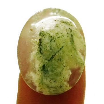 Mustika Ijo Lumut Pantai Utara