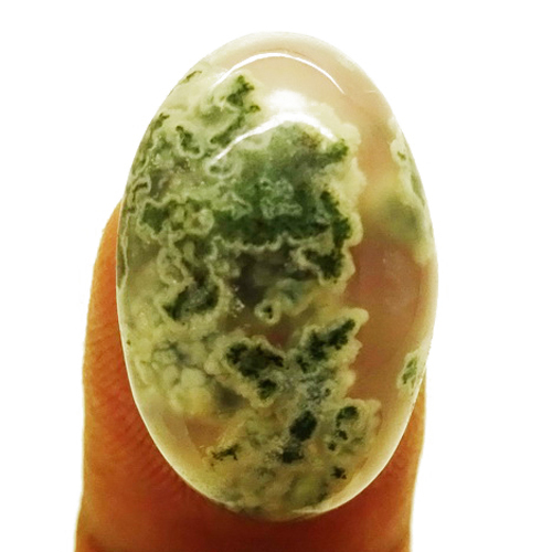 Mustika Pelet Lumut Laut Kidul - Pusaka Dunia