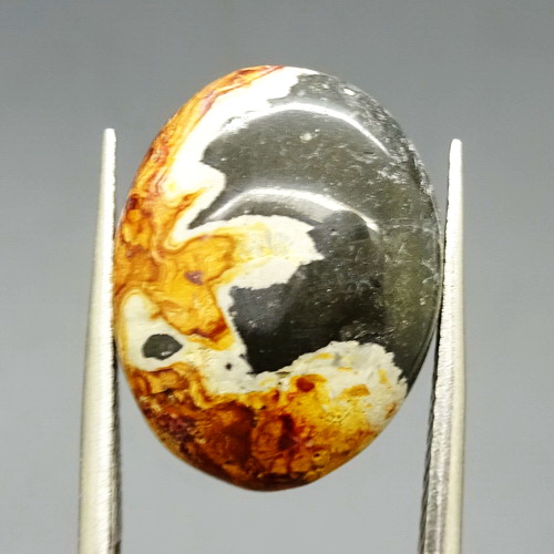 Batu Mustika Kepala Macan - Pusaka Dunia