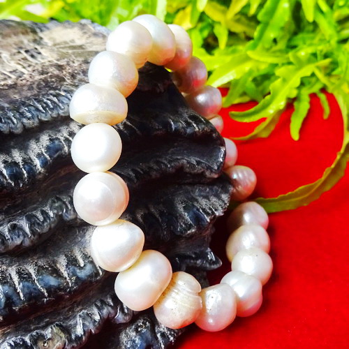 Gelang Kerang Mutiara Indah - Pusaka Dunia