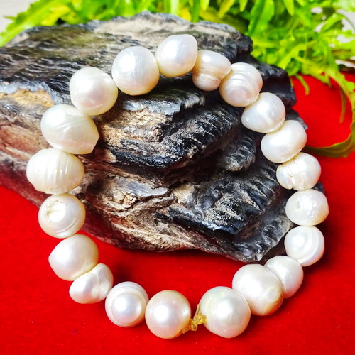 Gelang Kerang Mutiara Indah - Pusaka Dunia