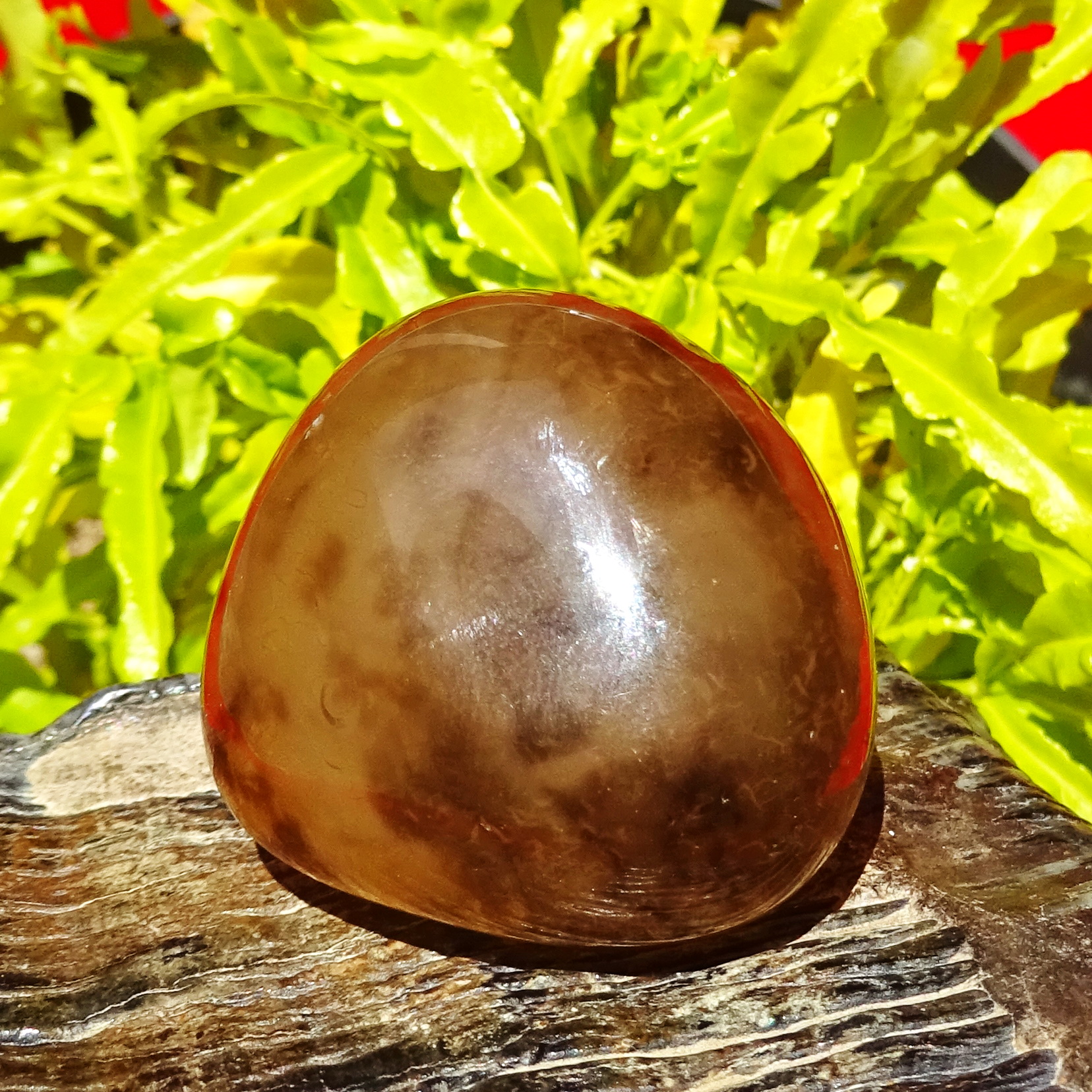 Mustika Gaib Samber Nyowo - Pusaka Dunia