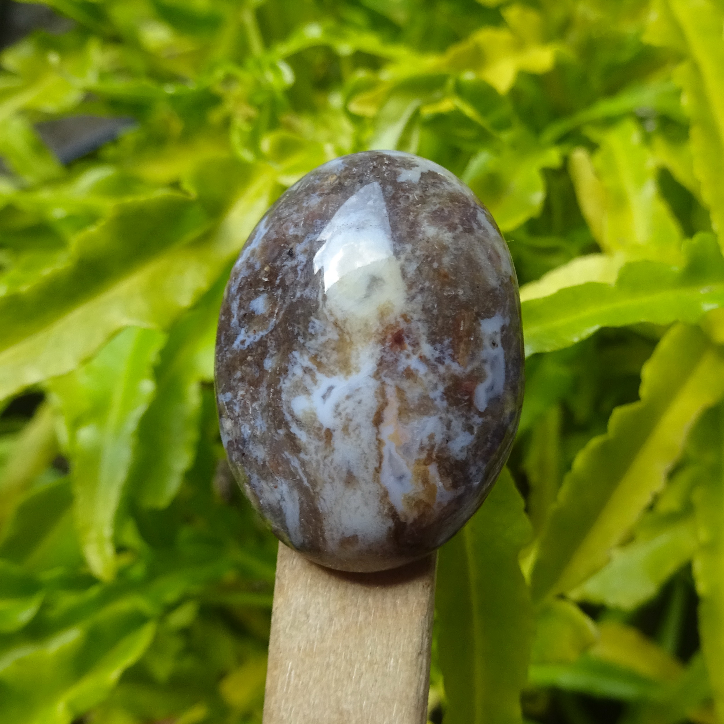 Mustika Pelet Cinta Semar Putih - Pusaka Dunia