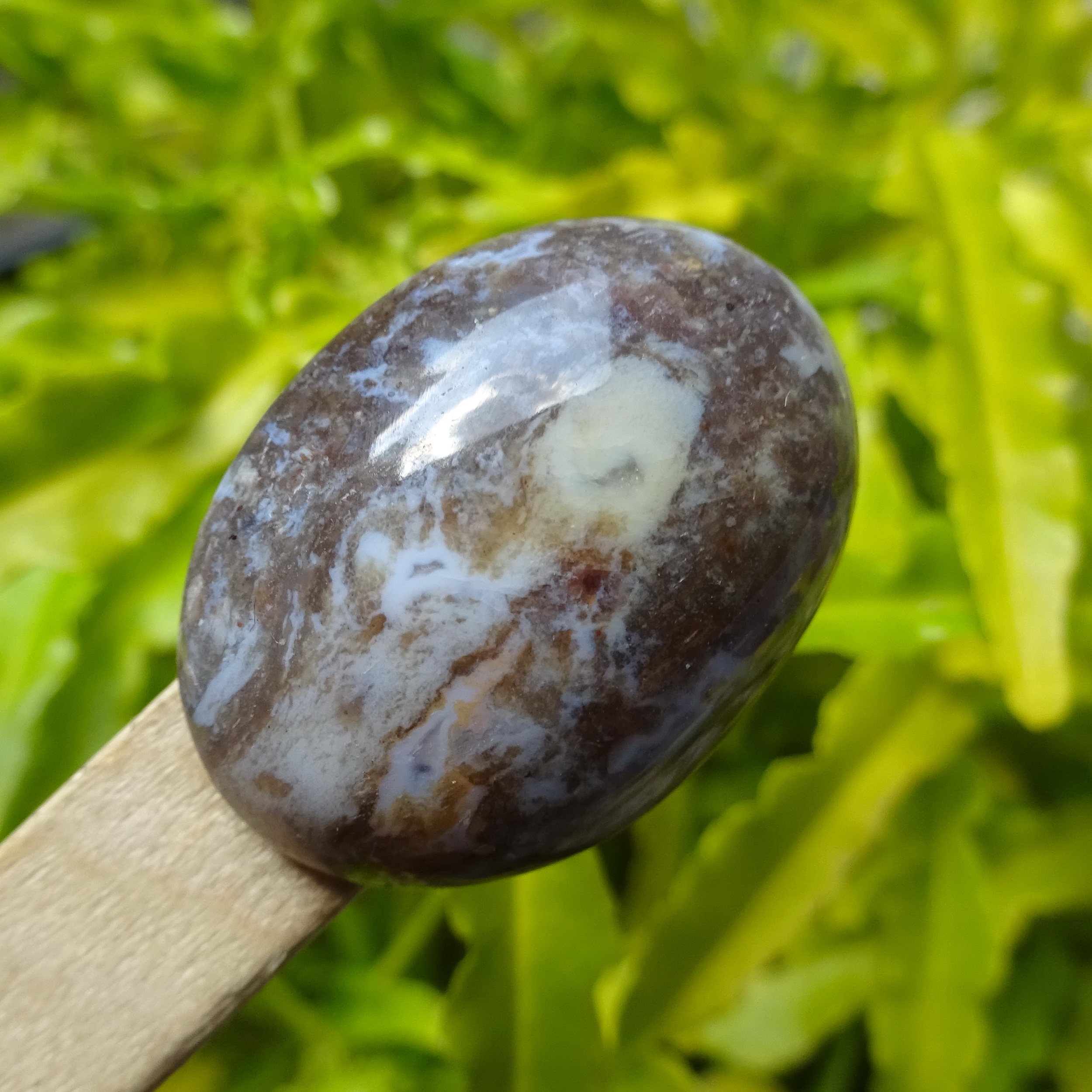 Mustika Pelet Cinta Semar Putih - Pusaka Dunia