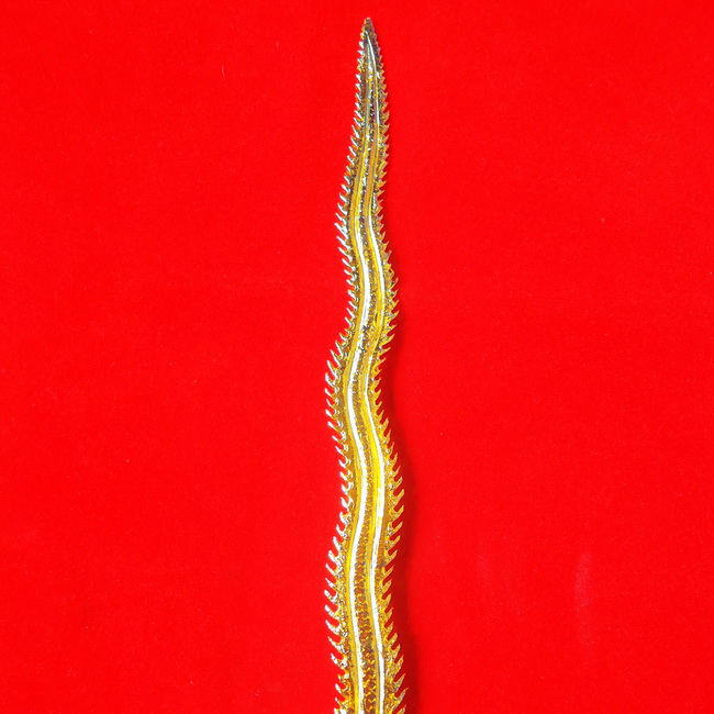 Keris Pusaka Naga Temanten Kuning Emas - Pusaka Dunia