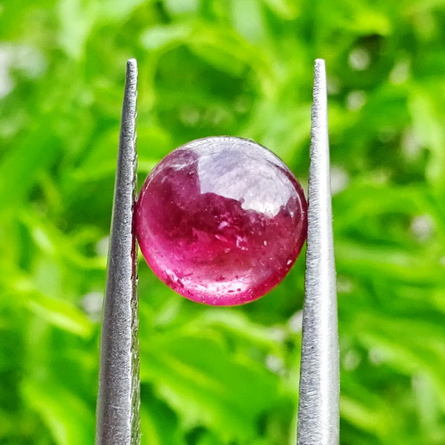 Merah Delima Asli Ukuran Kecil - Pusaka Dunia